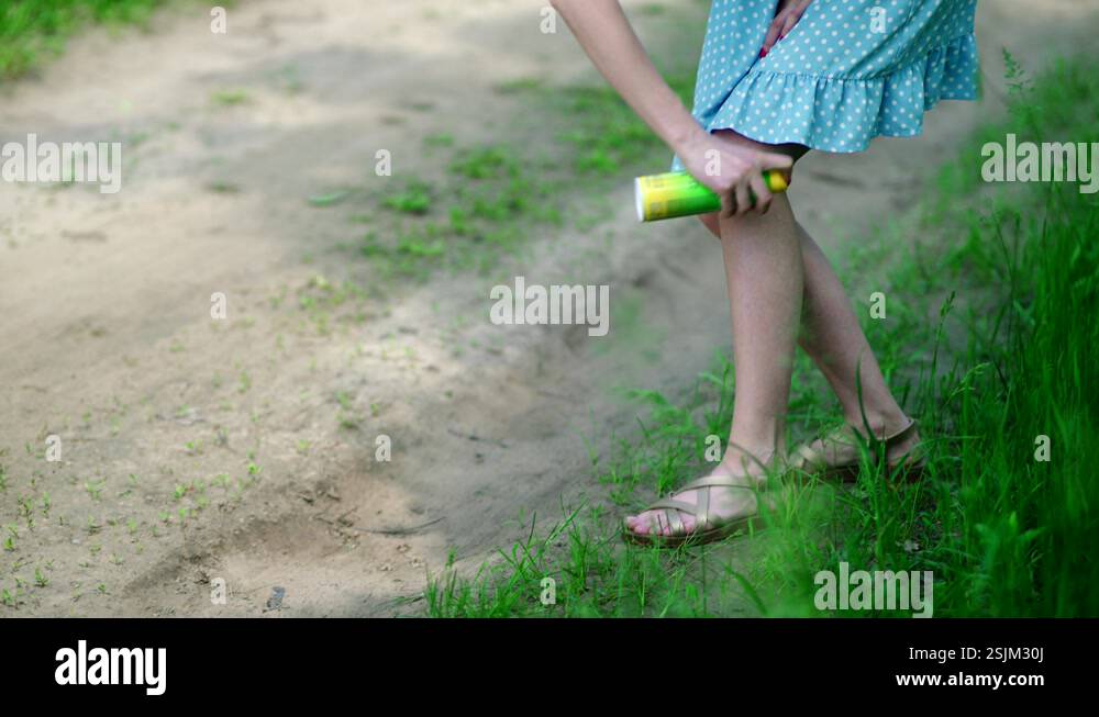 Gnat bug Stock Videos & Footage - HD and 4K Video Clips - Alamy
