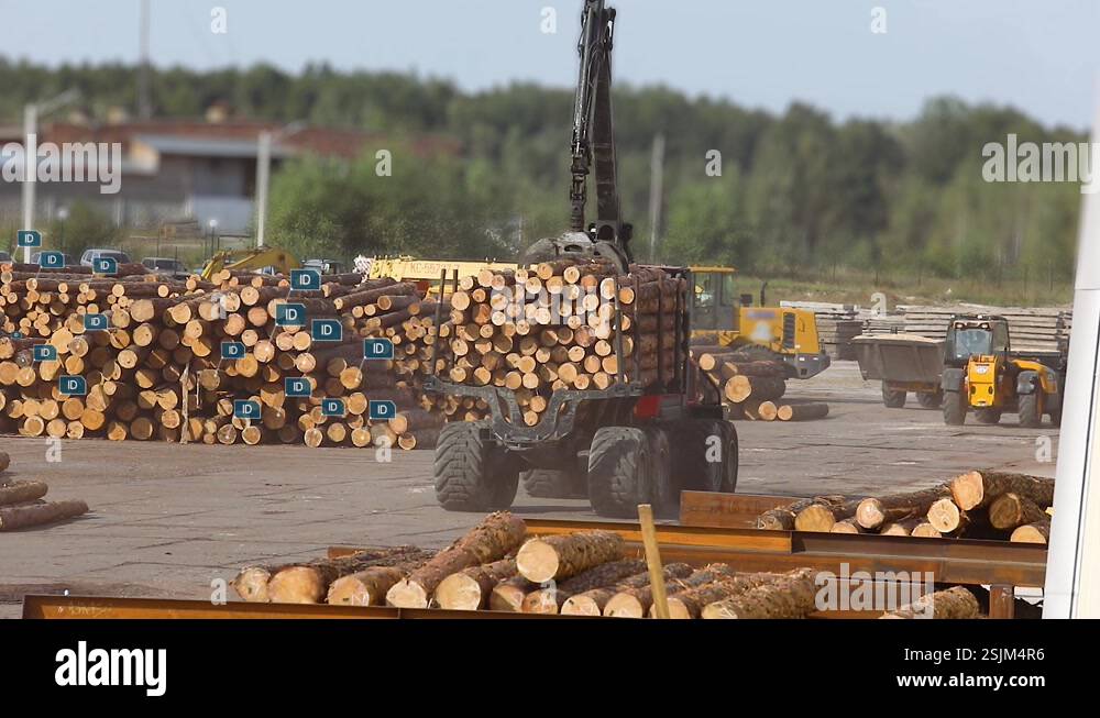 The concept of a modern sawmill. Visualization of a modern sawmill ...