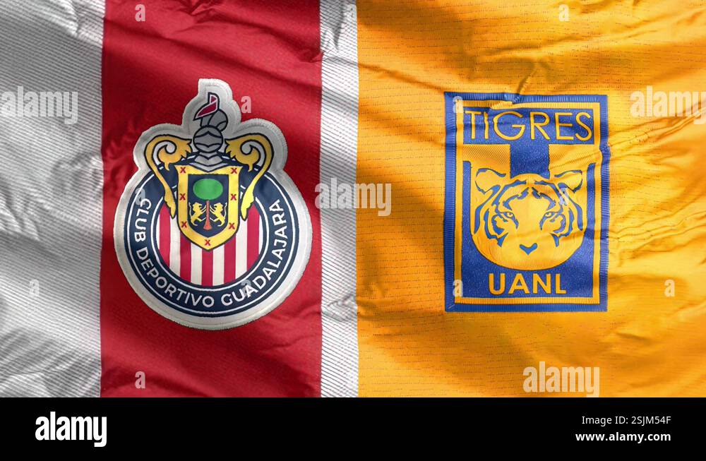 Tigres uanl fans Stock Videos & Footage - HD and 4K Video Clips - Alamy