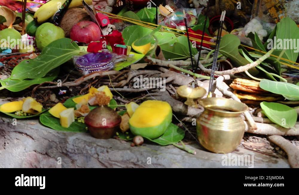 Hindu tree worship Stock Videos & Footage - HD and 4K Video Clips - Alamy
