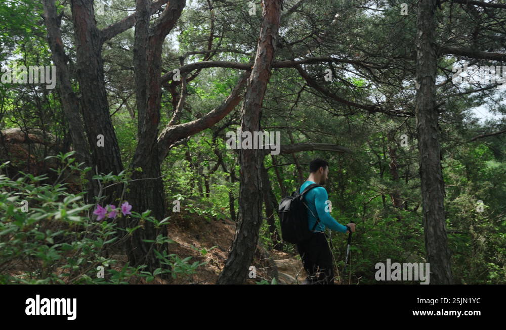 Tracking side view trekking male Stock Videos & Footage - HD and 4K ...