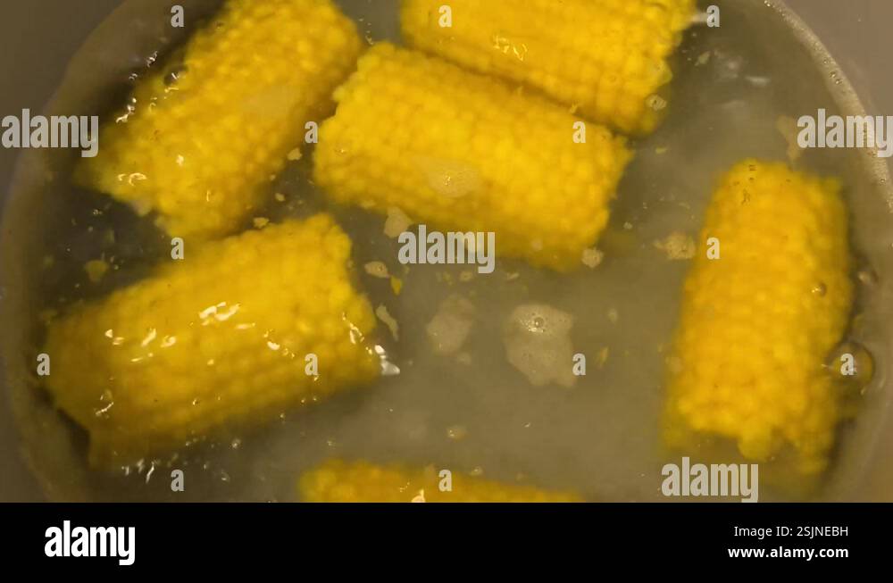 Corn on the cob boiling in a pot. 5 small pieces of corn as the water ...