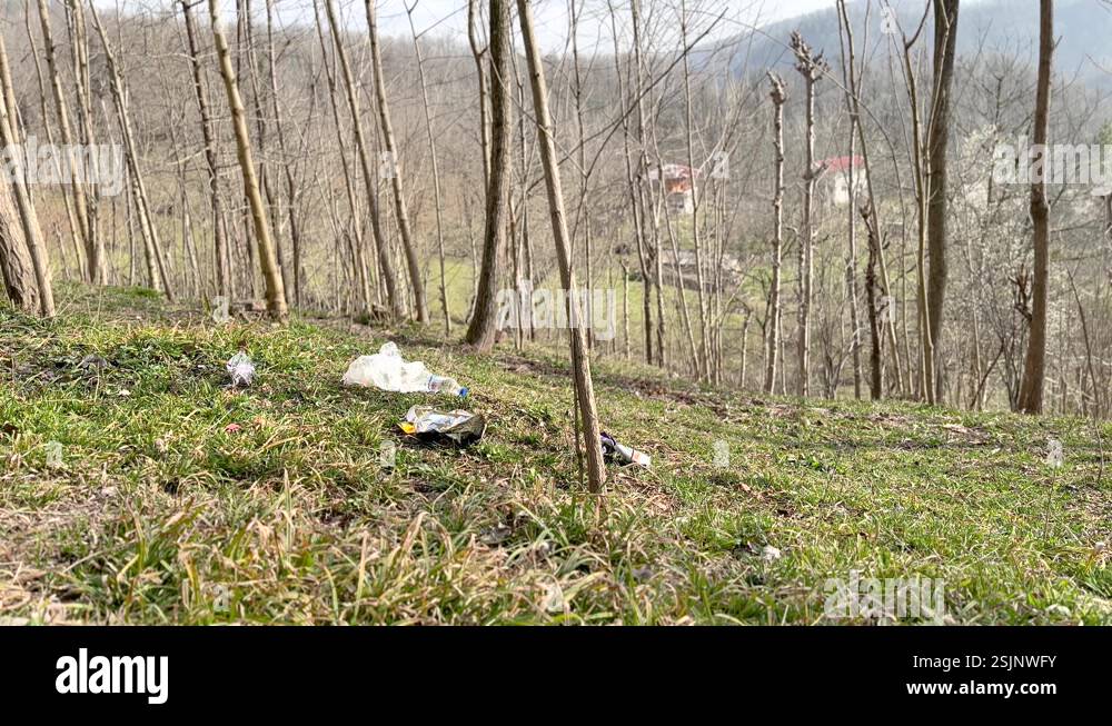 A man collecting trash picking rubbish cleaning the forest from waste in Stock Video Footage - Alamy