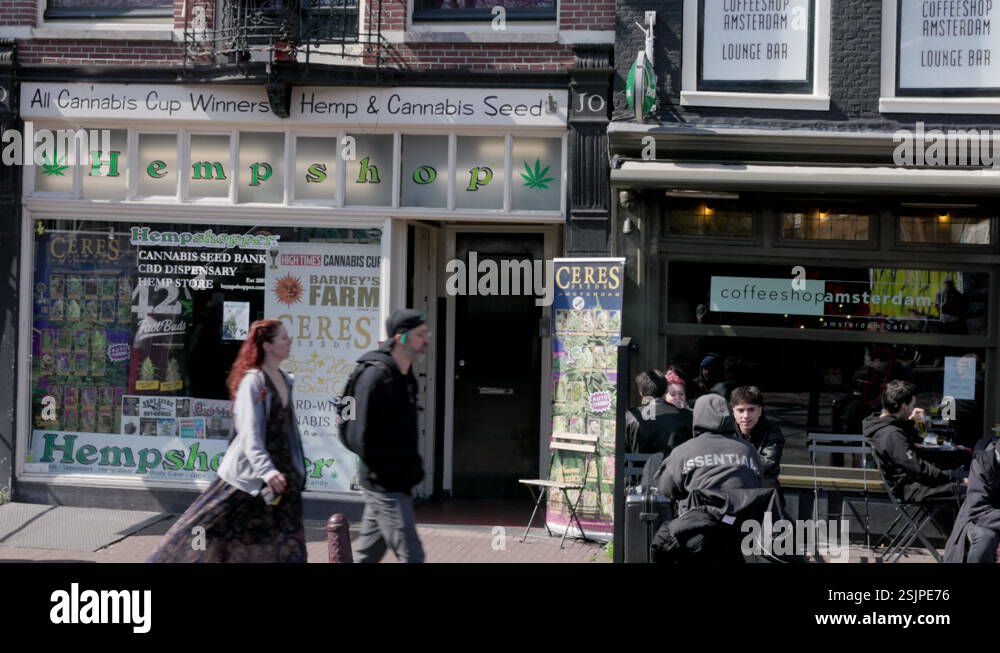 Cannabis amsterdam Stock Videos & Footage - HD and 4K Video Clips - Alamy