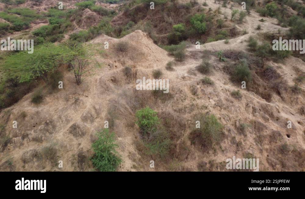 Unique gully erosions of the iconic badlands of Chambal ravines next to ...