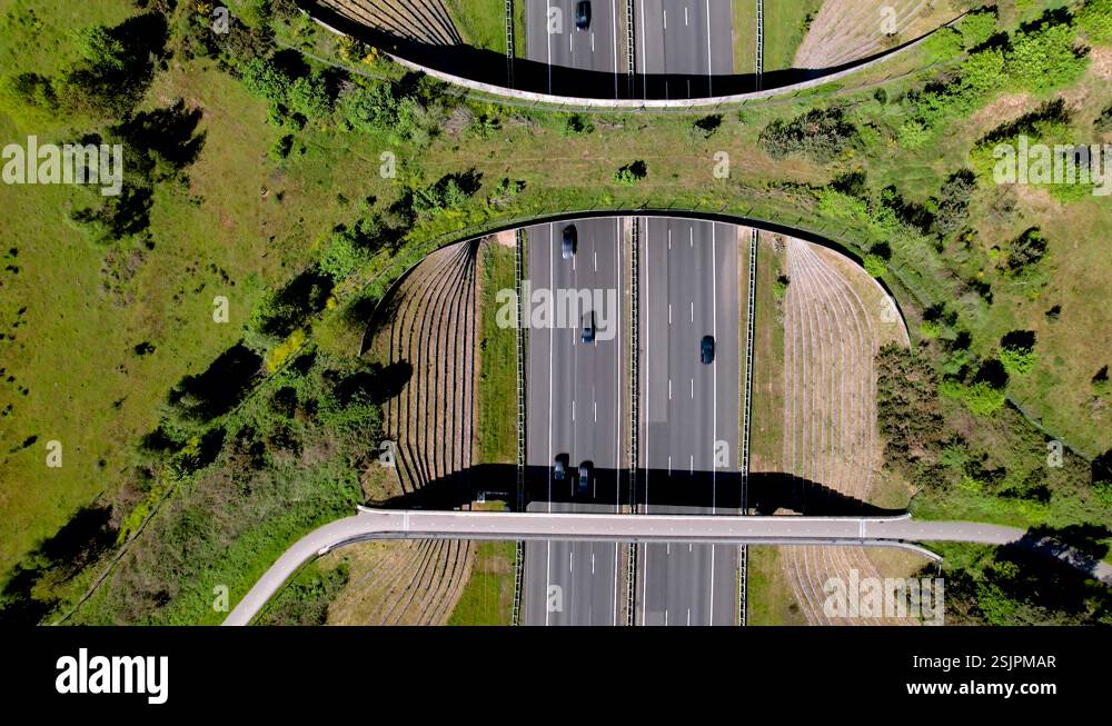 Top down descending aerial of freeway traversed by wildlife crossing ...