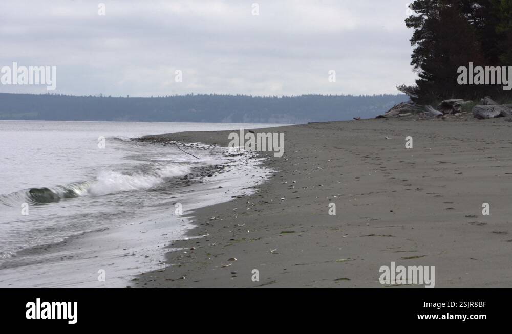 Peaceful waves roll in on a shell covered beach in the Pacific ...