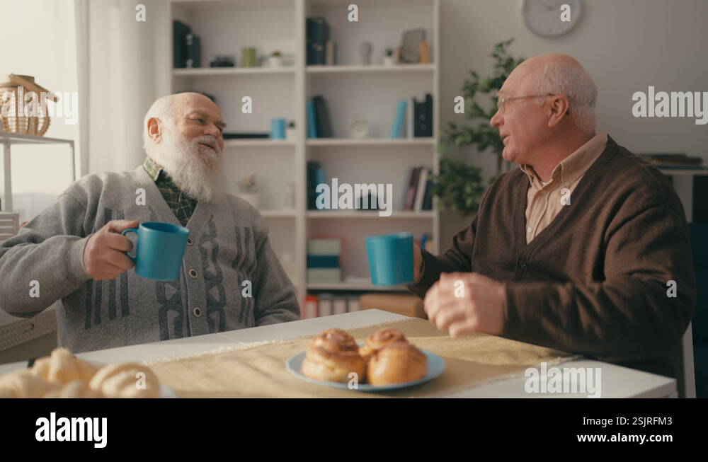 Two senior men having fun drinking tea, remembering old times, male ...