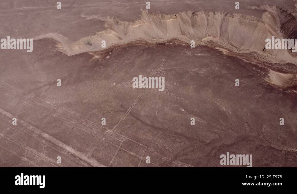 Ancient geoglyph depicting a hummingbird. Part of the famous Nazca ...