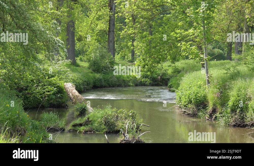 Dutch river water landscape Stock Videos & Footage - HD and 4K Video ...