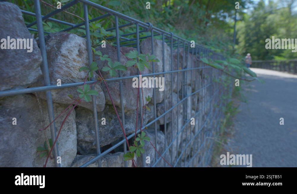 Wire Gabion Rock Fence. Stone wall texture rocks behind metal grid ...