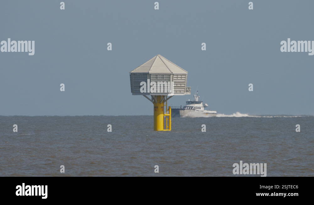 Nesting structure Stock Videos & Footage - HD and 4K Video Clips - Alamy