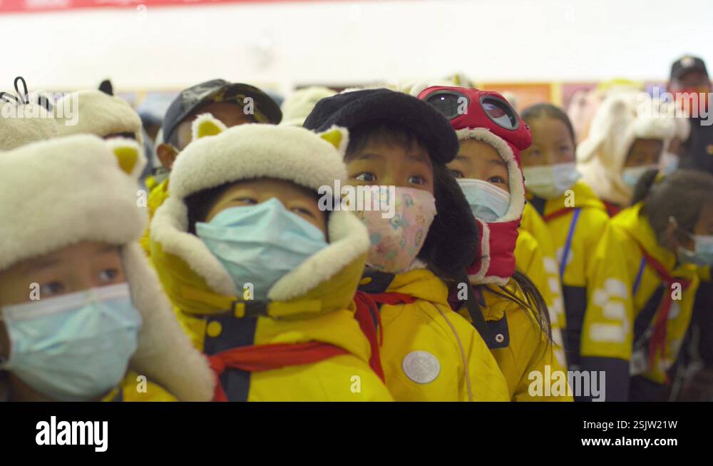 School visit museum Stock Videos & Footage - HD and 4K Video Clips - Alamy