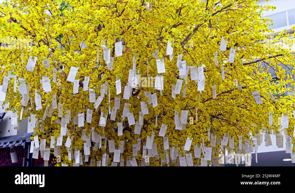 Money envelopes Stock Videos & Footage - HD and 4K Video Clips - Alamy