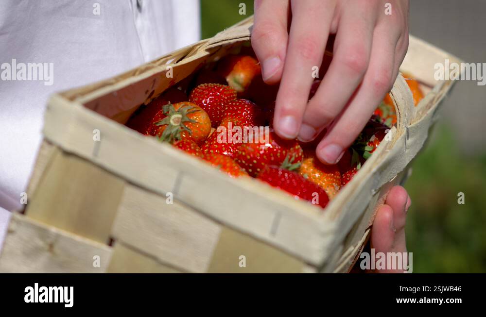 Hands holding wooden basket Stock Videos & Footage - HD and 4K Video ...