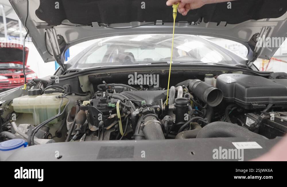 Oil stick Stock Videos & Footage - HD and 4K Video Clips - Alamy