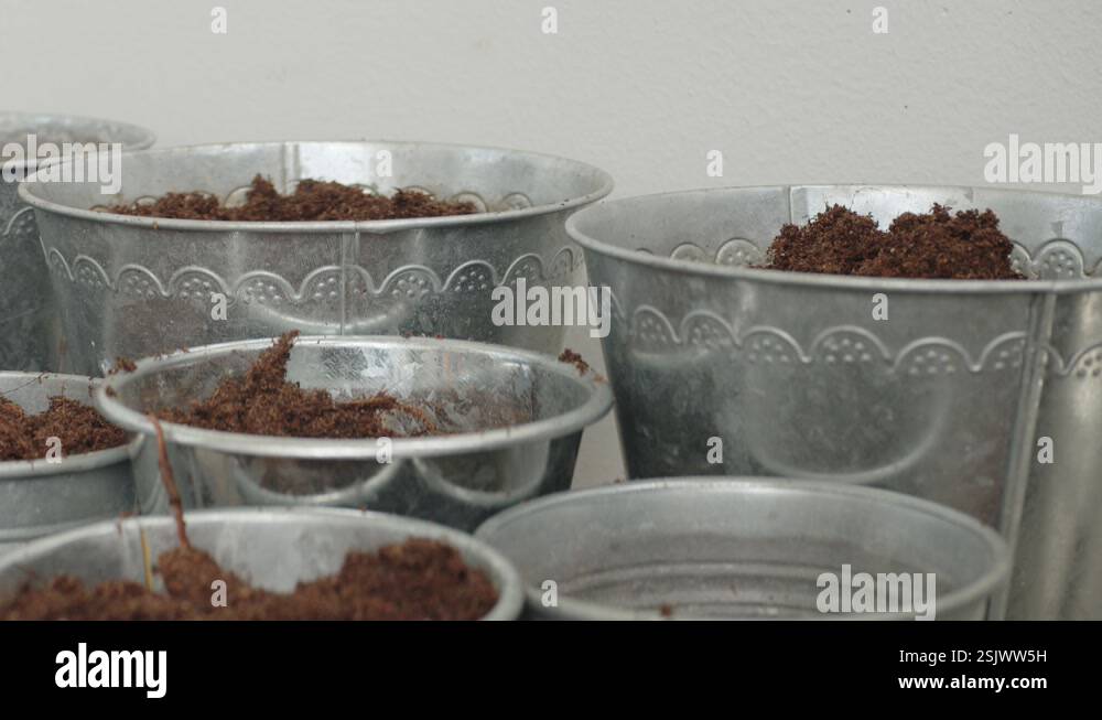 You can clearly see a hand carefully scooping and pouring the soil into ...