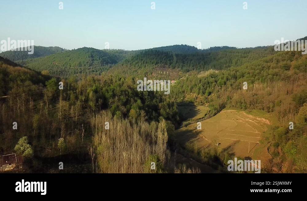 Tea paddy Stock Videos & Footage - HD and 4K Video Clips - Alamy