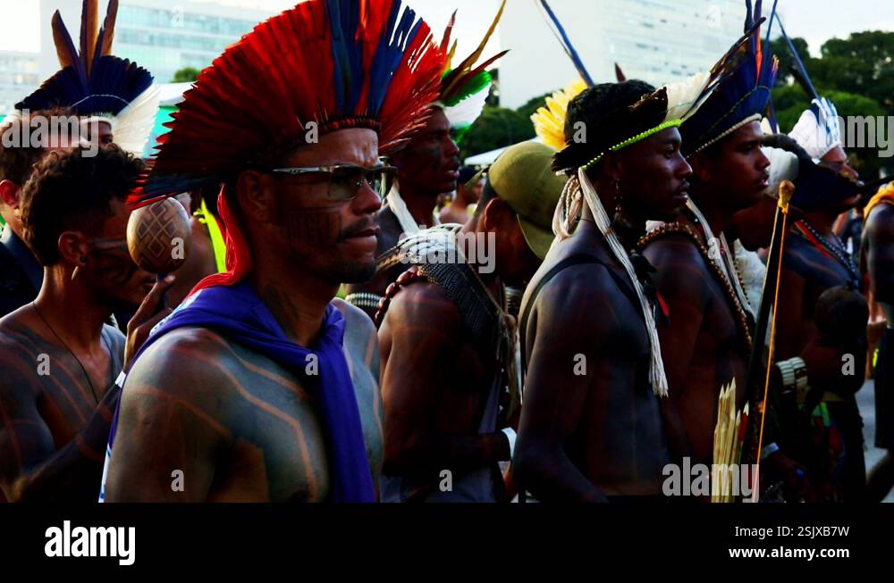 Indigenous protection Stock Videos & Footage - HD and 4K Video Clips ...