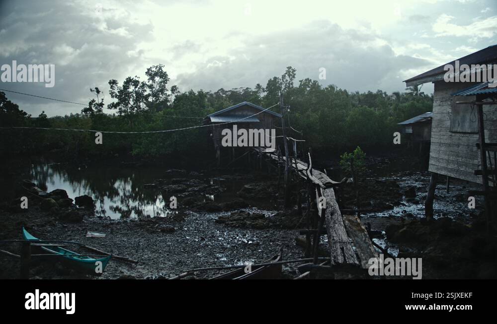 A wooden house built on stilts near a mangrove swamp in the Philippines ...