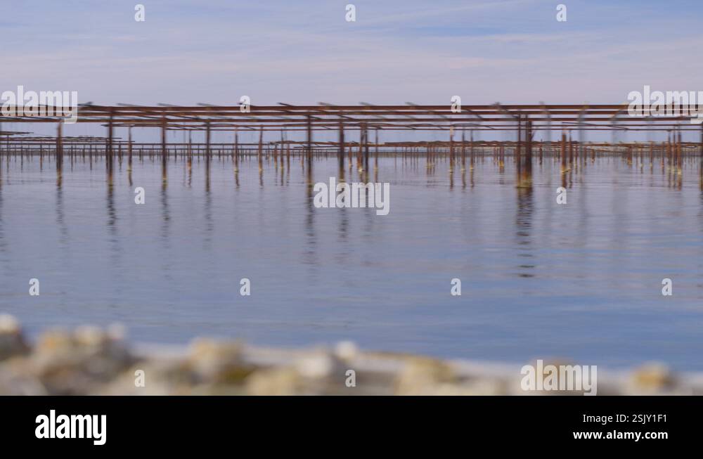 Shellfish rafts Stock Videos & Footage - HD and 4K Video Clips - Alamy