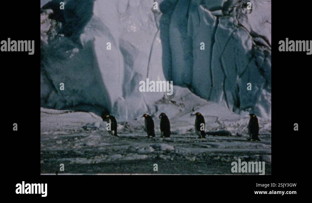 1980s: Penguins walk on land in Antarctica. Map shows climates at the ...