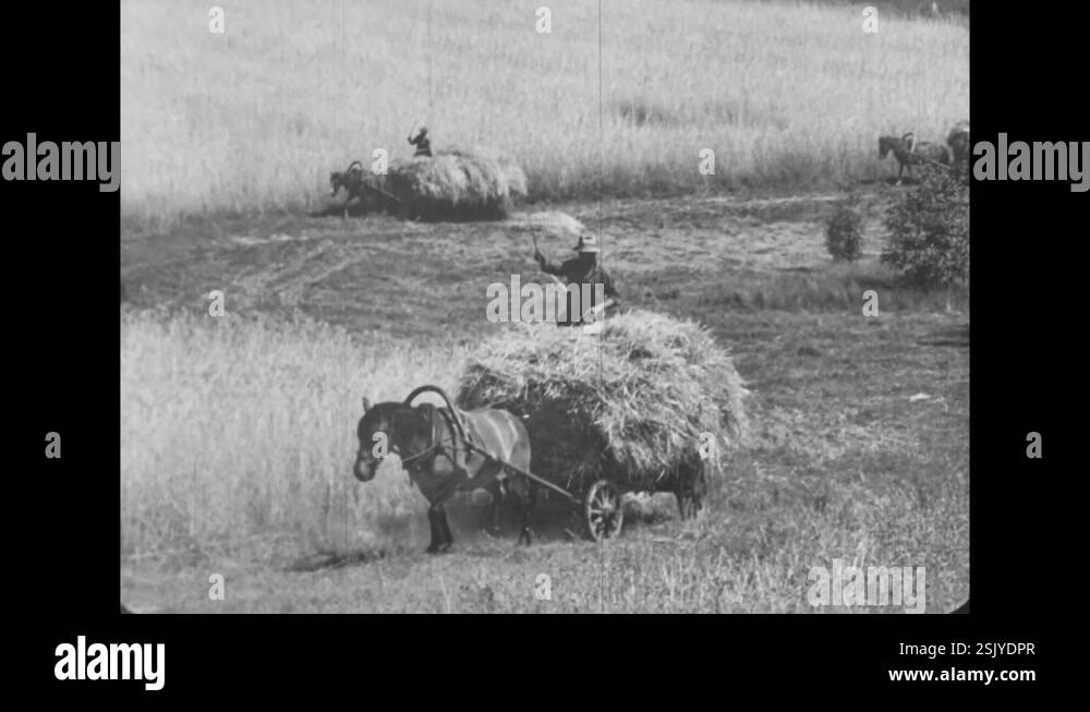 Rural life do Stock Videos & Footage - HD and 4K Video Clips - Alamy