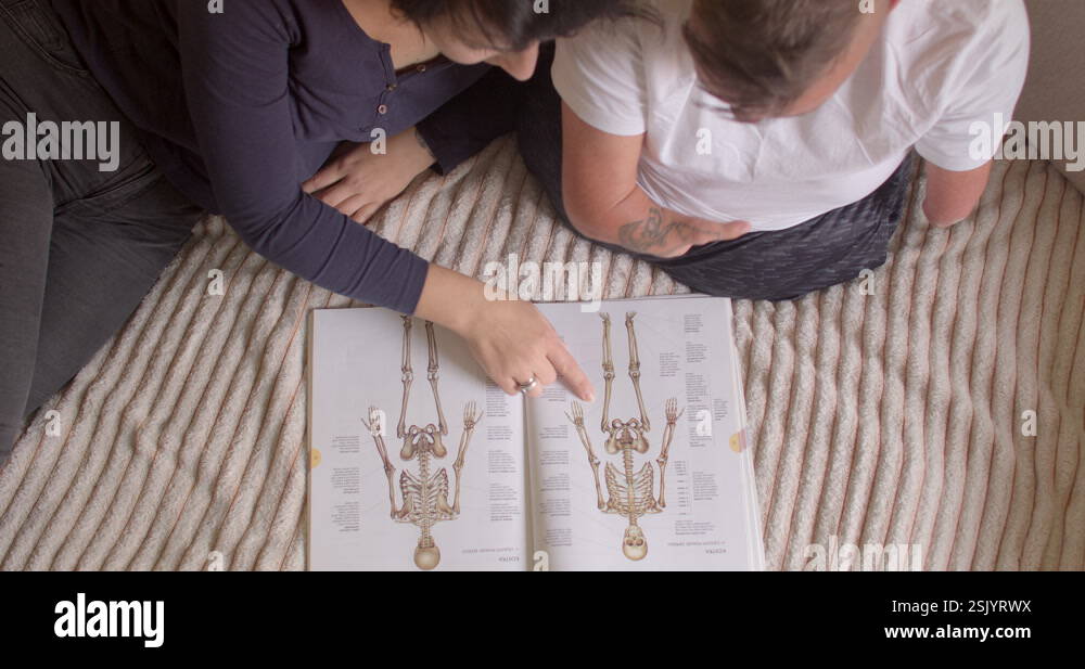 Learning in home isolation. Study anatomy and body structure during ...