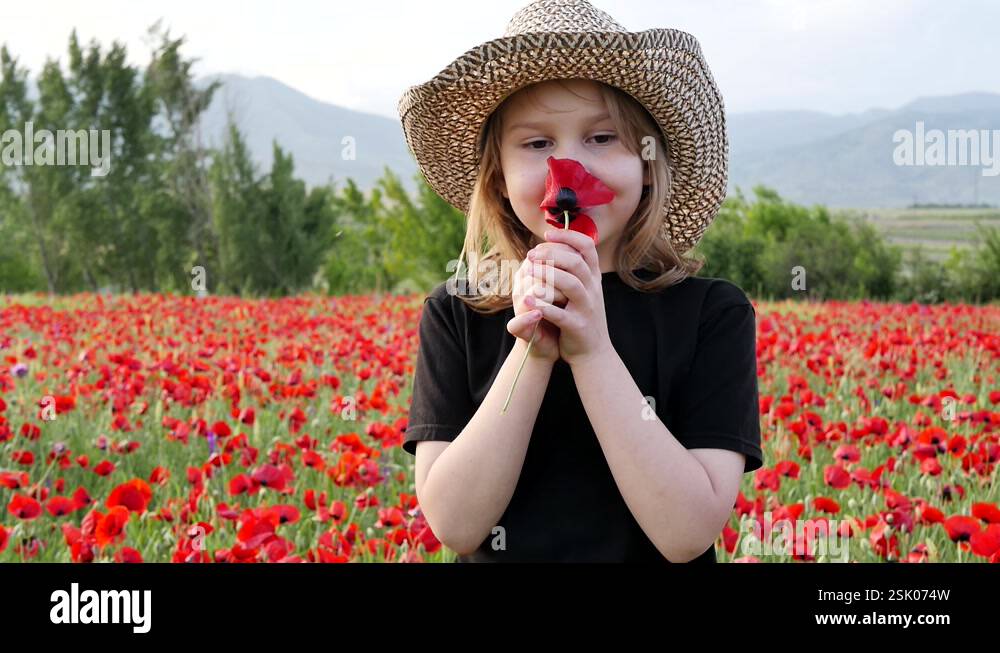 Poppy wearing girl Stock Videos & Footage - HD and 4K Video Clips - Alamy
