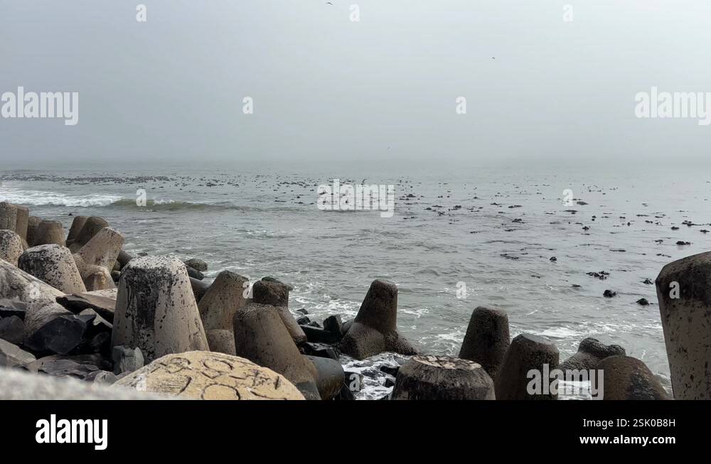 Wave breaker blocks sea Stock Videos & Footage - HD and 4K Video Clips ...