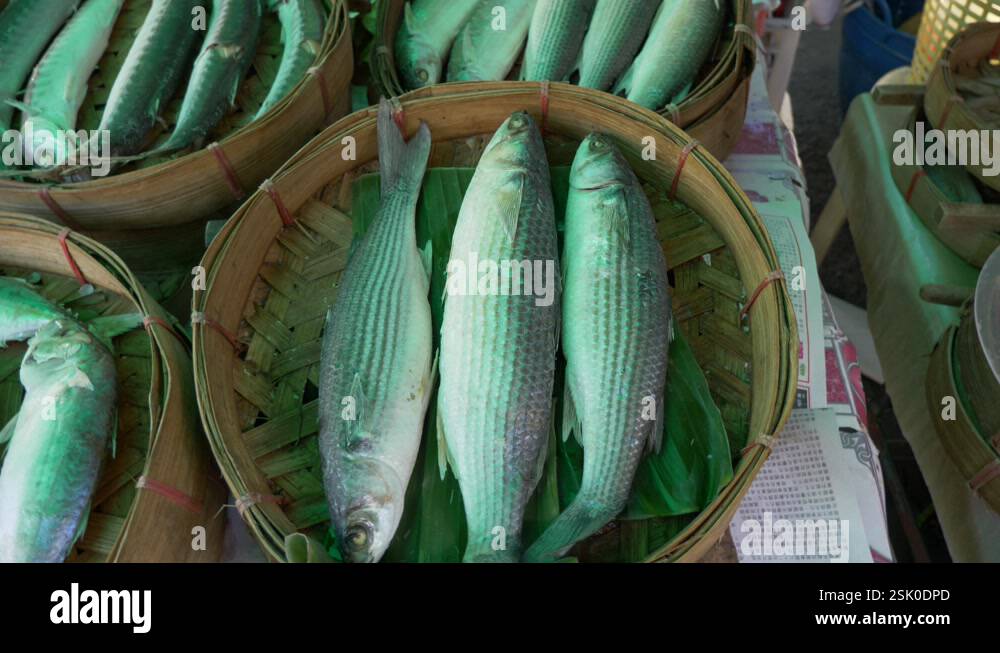 Steam rice fish Stock Videos & Footage - HD and 4K Video Clips - Alamy