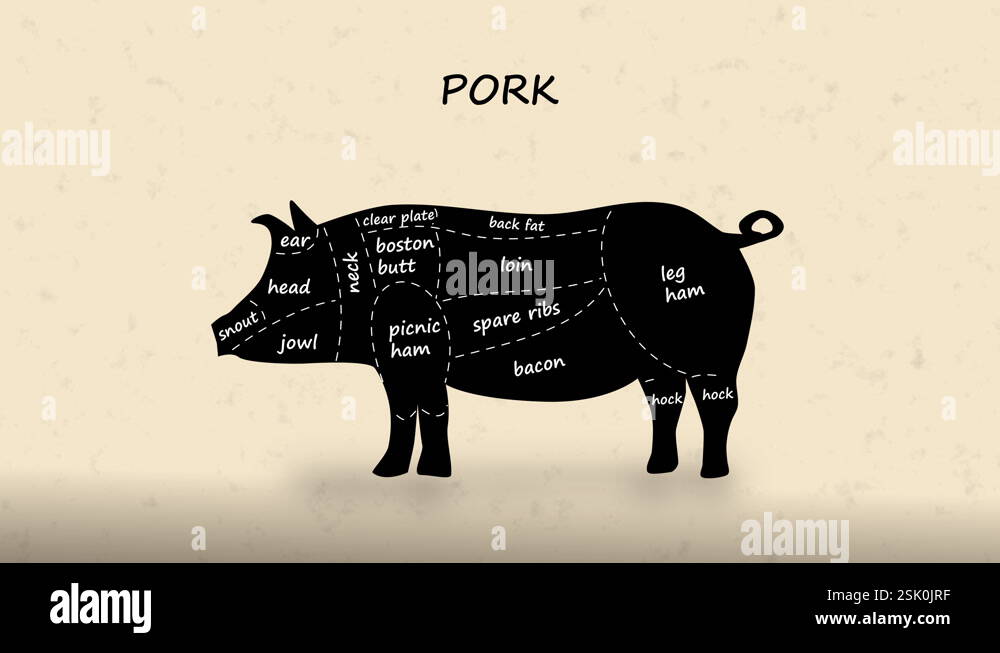Pig butcher diagram pork Stock Videos & Footage - HD and 4K Video Clips ...