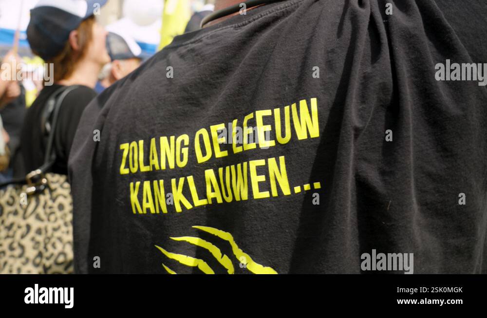 De claw Stock Videos & Footage - HD and 4K Video Clips - Alamy