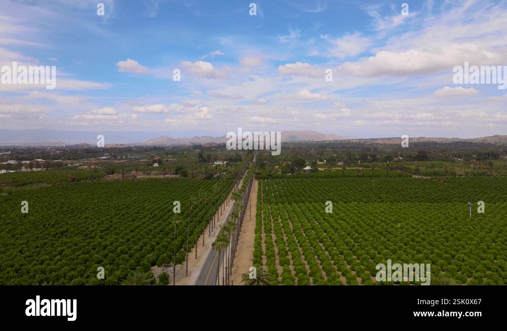 Citrusfarm Stock Videos & Footage - HD and 4K Video Clips - Alamy