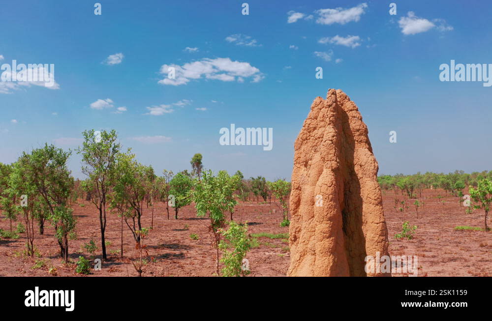 Dry climate wildlife Stock Videos & Footage - HD and 4K Video Clips - Alamy