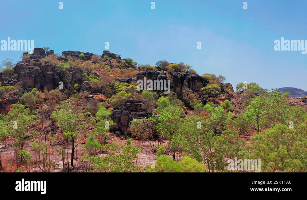 Explore bush Stock Videos & Footage - HD and 4K Video Clips - Alamy