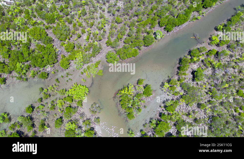 Environment enviroment conservation nature Stock Videos & Footage - HD ...