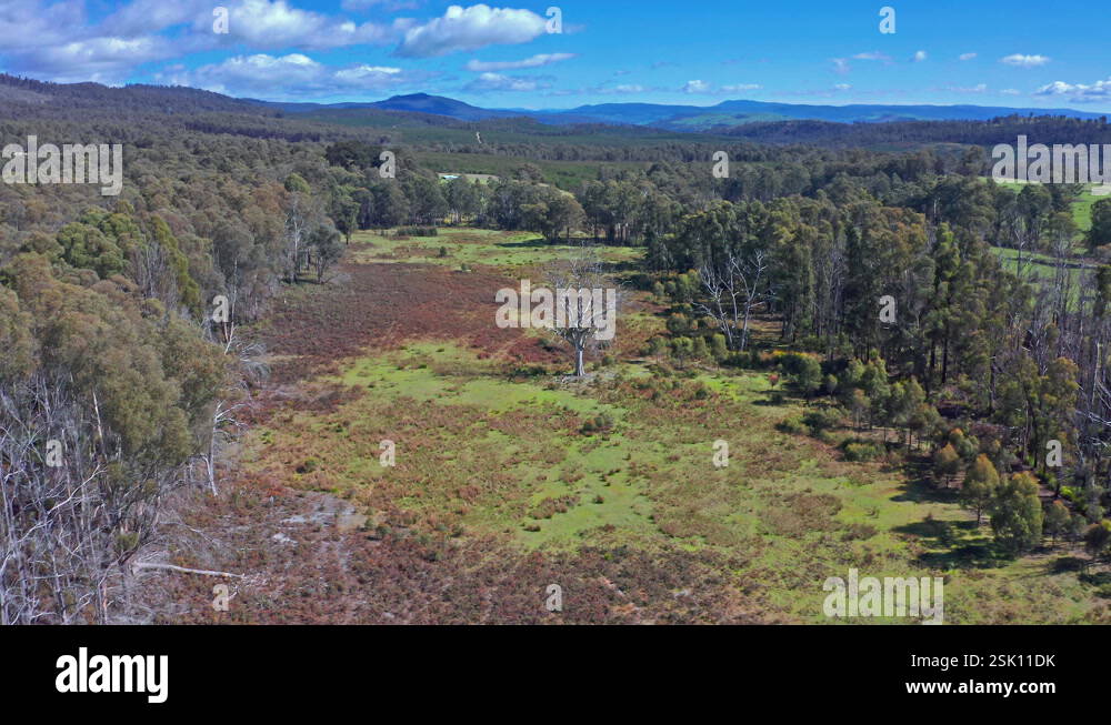 Tasmanian ecosystem Stock Videos & Footage - HD and 4K Video Clips - Alamy