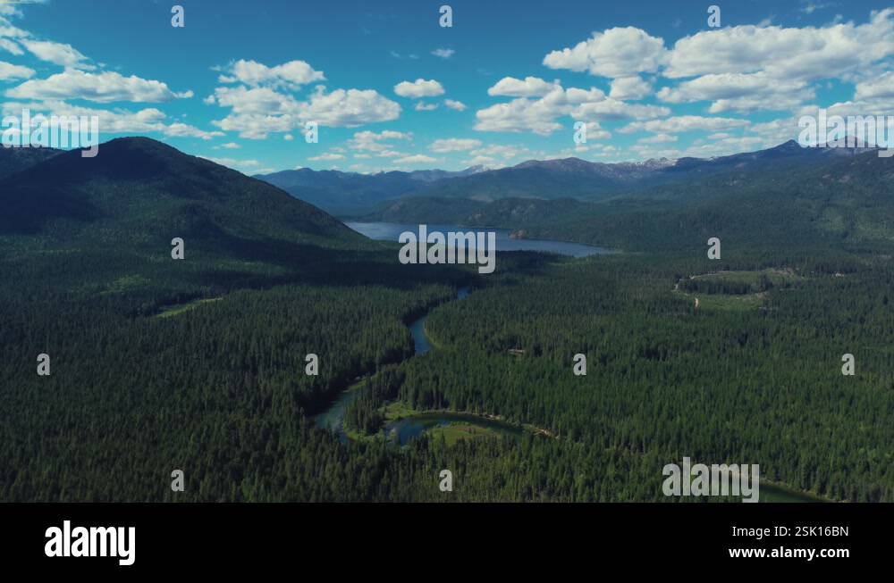 Stream Between The Verdant Forest Near The Hauser Lake In Idaho, USA ...