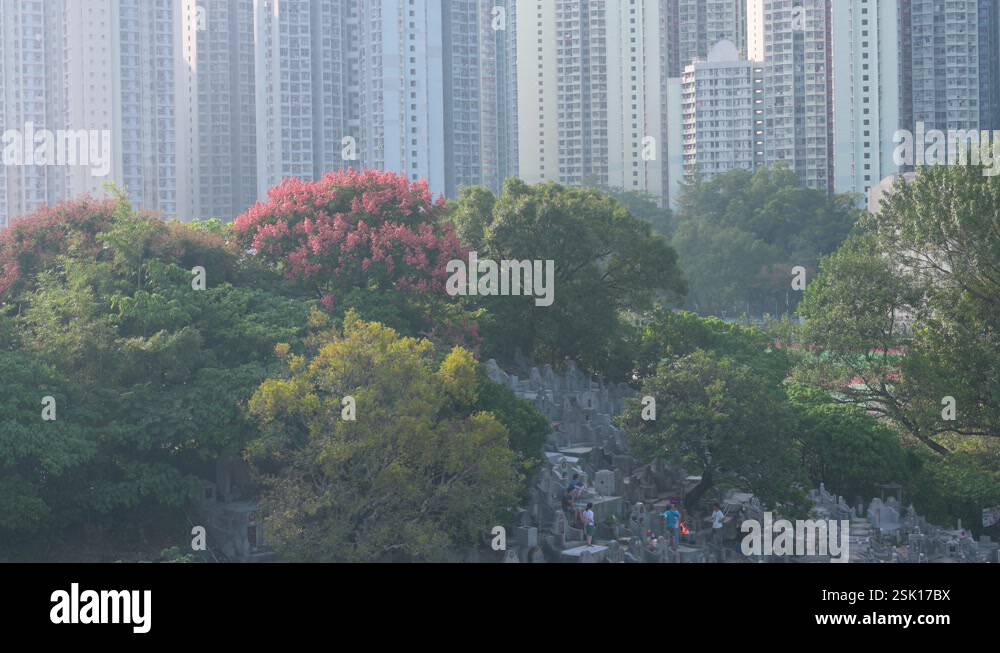 People visit deceased relatives' graves in remembrance and respect at a ...