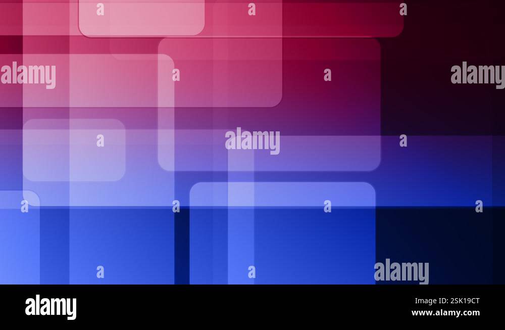 Contemporary backdrop is a perfect canvas for showcasing the vibrant ...