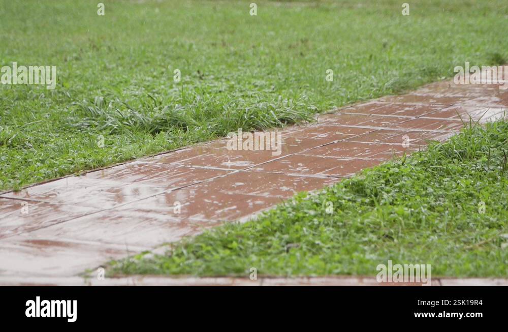Raindrops drip into large puddle on the paving slabs. Wet path with ...