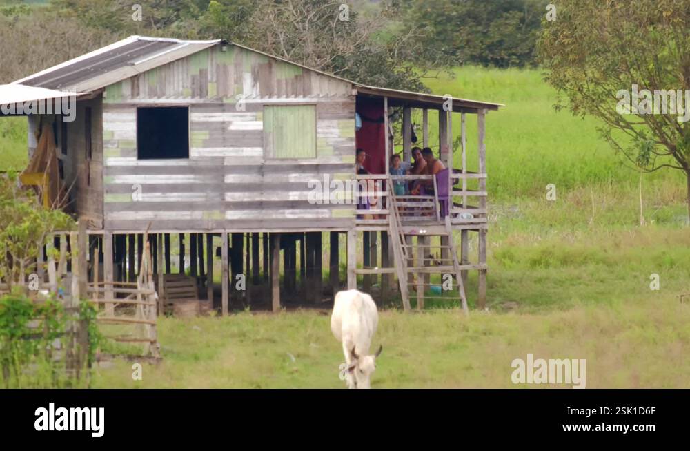 Amazon indigenous family living in a wooden house in the middle of the ...