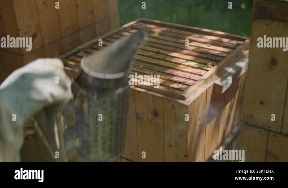 Bee Keeper Spraying Smoke on Honey Bees on Brood Frame at Apiary Bee ...