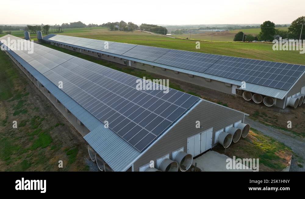 Solar panels on agricultural livestock barns in USA. Beautiful sunset ...