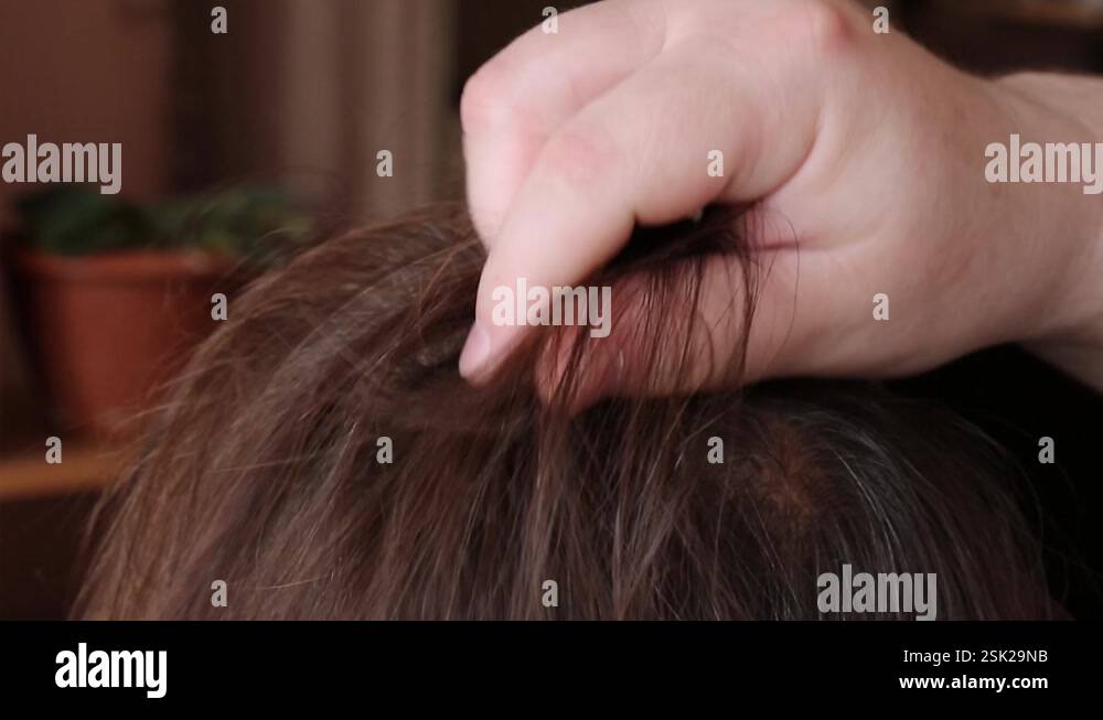 A man's hand gently massages a woman's head. Relaxing massage of the ...