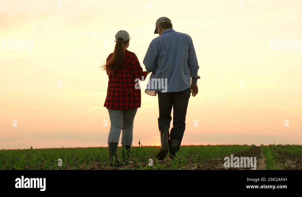 two farmers work field sunset, work tablet agriculture, hand sun ...