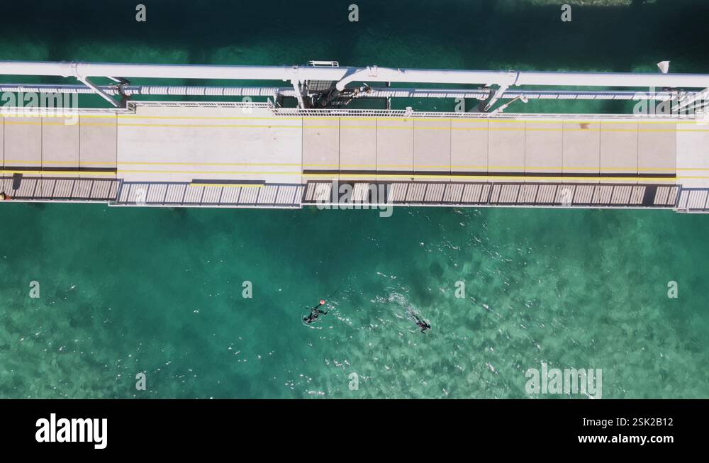 People spearfishing for fish under a popular city ocean jetty walkway ...