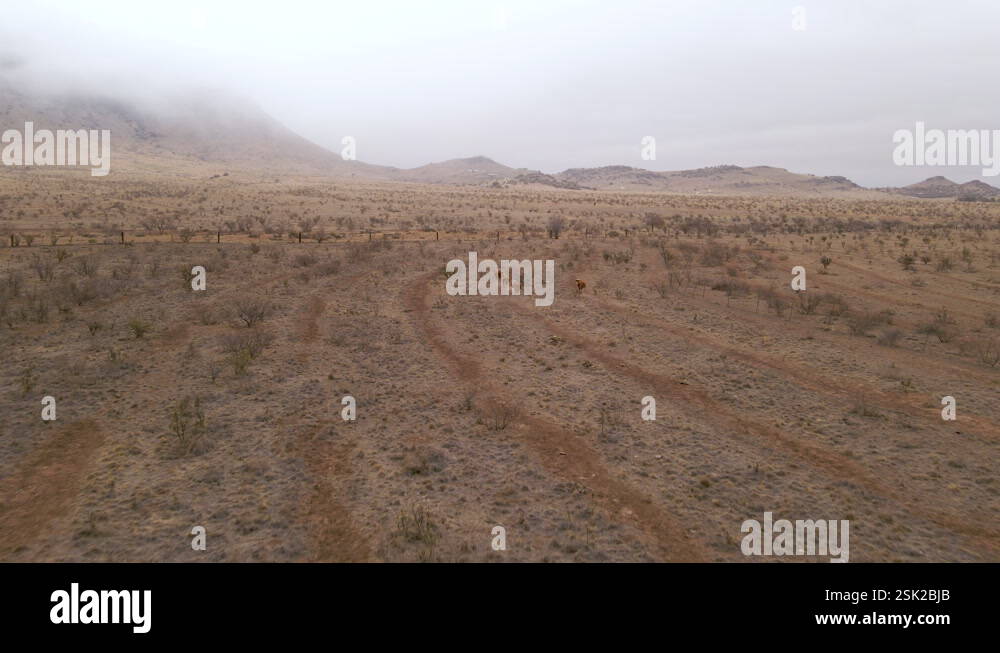 Texas desert ranch Stock Videos & Footage - HD and 4K Video Clips - Alamy