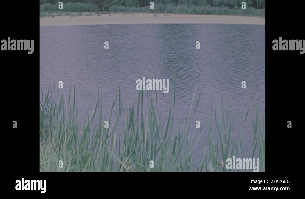 1960s: Detritus on top of water moves with wavelets Stock Video Footage ...